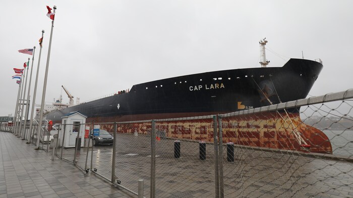 Un immense pétrolier immobilisé à Québec en raison d’un bris | Radio-Canada