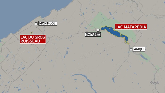 Le lac Matapédia à la merci d'une plante ultra-envahissante | Radio-Canada