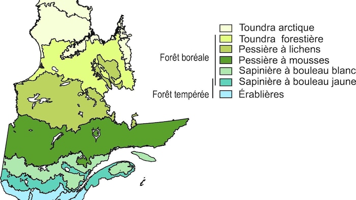 Des érablières jusqu’à Chibougamau d’ici 2100 : un modèle à revoir ...