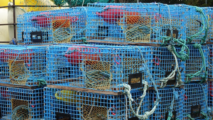 Pêche au homard automnale : Listuguj satisfaite du projet-pilote ...