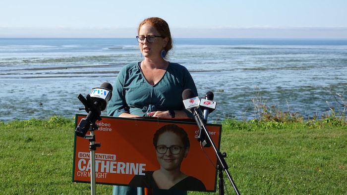 Bisbille au sein de l’association de Québec solidaire dans Bonaventure ...