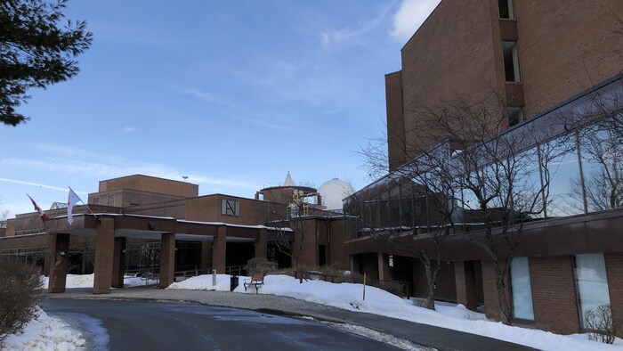 Coronavirus : le rapatriement des Canadiens du Diamond Princess suscite ...