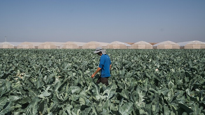 En Israël, s’entraider pour moins angoisser | Radio-Canada