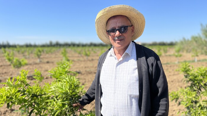 L’Algérie se lance le difficile défi de l’autonomie alimentaire | Radio ...