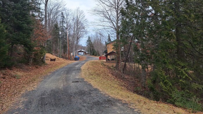 Le Nouveau-Brunswick a connu un hiver particulièrement doux | Radio-Canada