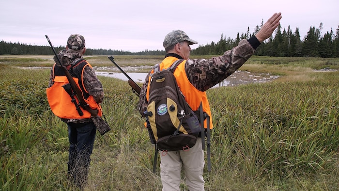 9700 orignaux et 5400 chevreuils chassés en 2020 dans l’Est-du-Québec ...