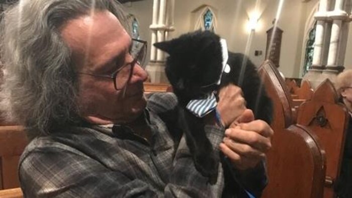 Coal, le dernier chat de la colline du Parlement, s’est éteint | Radio ...
