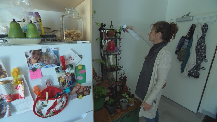 Une nouvelle résidence pour femmes itinérantes inaugurée à Montréal ...