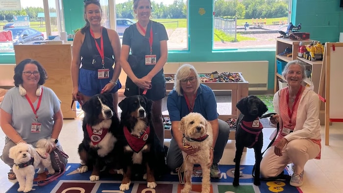 Des chiens de thérapie en mission à Moncton | Radio-Canada