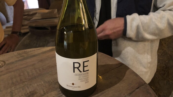 Le vin chilien comme nous le connaissons peu | Radio-Canada