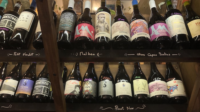 Le vin chilien comme nous le connaissons peu | Radio-Canada