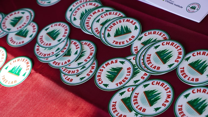 Christmas Tree Lab : le premier laboratoire canadien dédié aux arbres ...