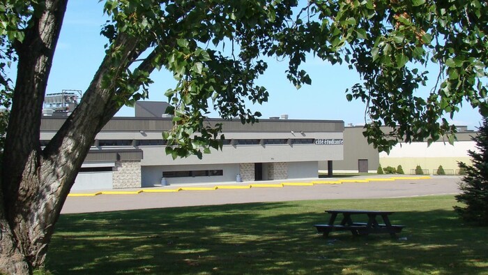 Le local Mamu, entre sécurisation, mixité et appartenance pour des ...