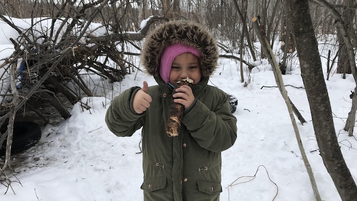L’école en forêt dans la Première Nation de Timiskaming | Radio-Canada