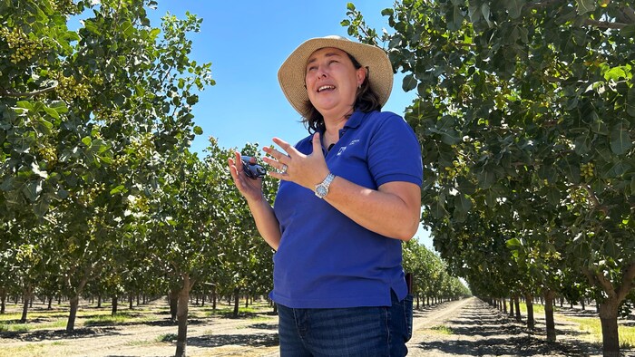 Entre sécheresses et inondations, l’agriculture chamboulée | Radio-Canada