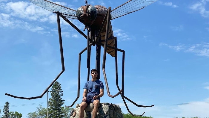 Des chercheurs manitobains découvrent 17 nouveaux virus chez les ...