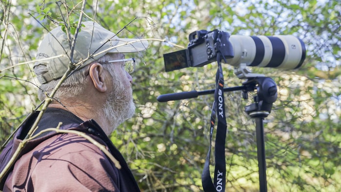 Les colibris résilients dans un écosystème fragile | Radio-Canada