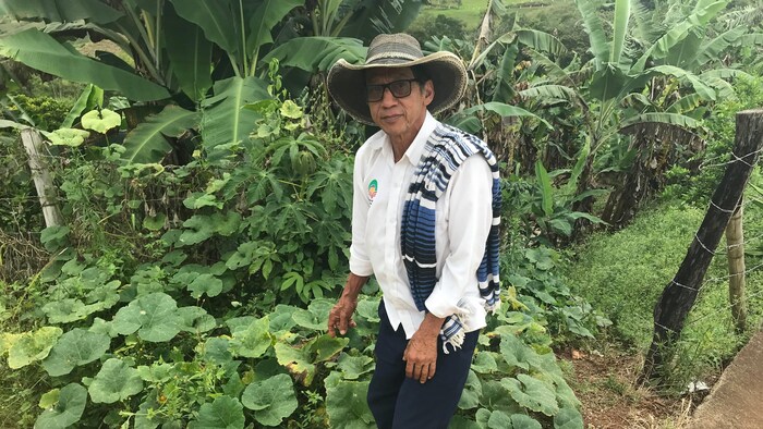 La biodiversité colombienne disparaît à vitesse grand V | Radio-Canada