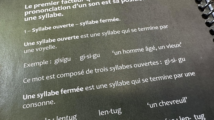 Se réapproprier la langue mi’gmaw, un mot à la fois | Radio-Canada