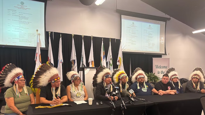 Le Conseil tribal de Meadow Lake plaide pour une meilleure sécurité ...
