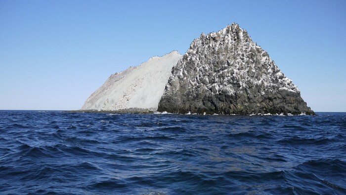 Le Corps-Mort, un îlot madelinot, est à vendre | Radio-Canada