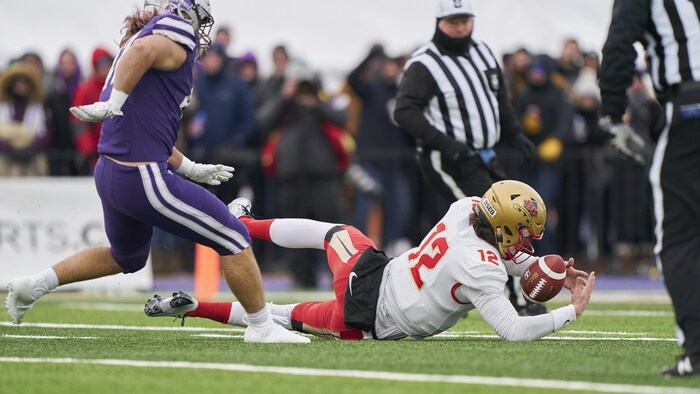 Le Rouge et Or accède à la Coupe Vanier | Radio-Canada