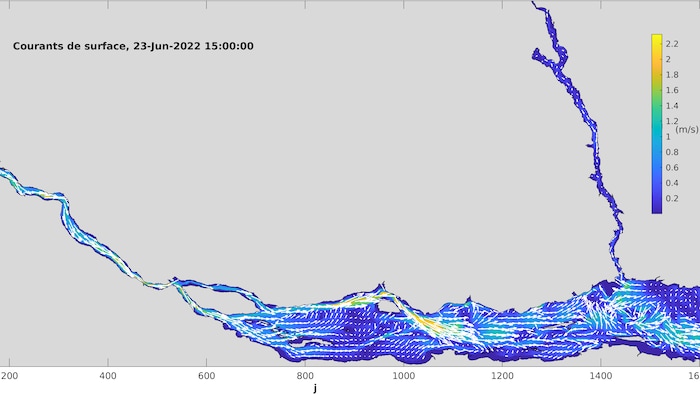 Reproduire le plus grand estuaire au monde en 3D | Radio-Canada
