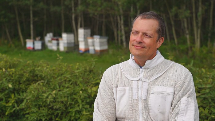 L’apiculture urbaine peut être un problème ailleurs, mais pas encore à ...