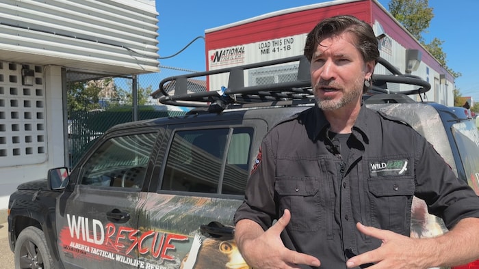 Déplacer des animaux sauvages peut poser des défis vitaux à la faune ...