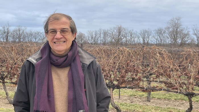 Les vins de glace ne sont pas près de disparaître en Ontario | Radio-Canada