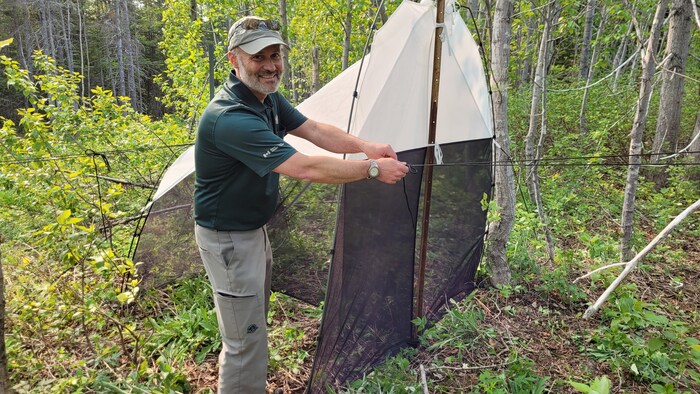 Pour en savoir plus sur les insectes du parc Forillon | Radio-Canada