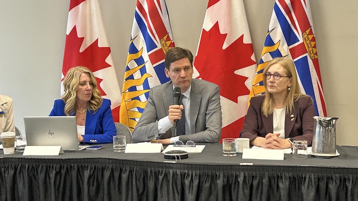 Budget 2025 et promesses électorales : un test pour le NPD | Radio-Canada