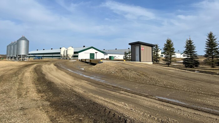 L’Alberta n’est plus en tête de la valeur des biens agricoles, selon ...