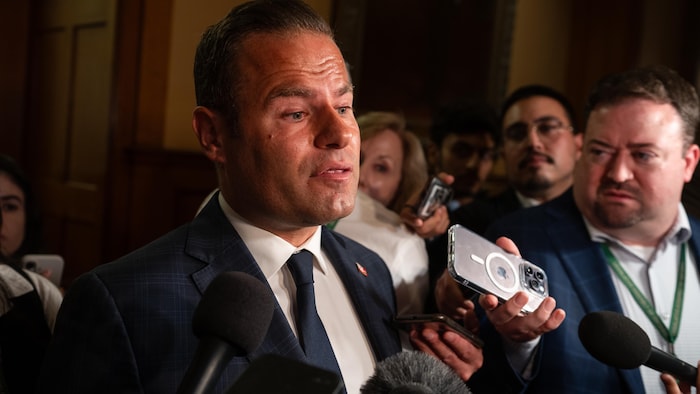 Allégations de favoritisme : le gouvernement Ford sur la défensive | Radio-Canada