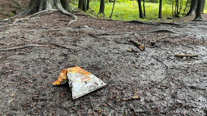 La forêt derrière l’École secondaire Alexander Galt souillée après le ...