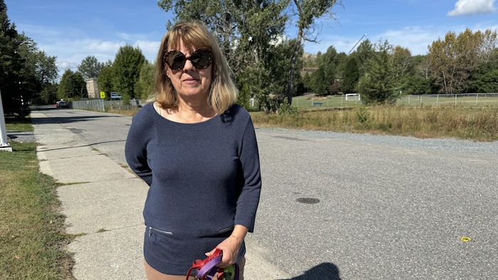 L’emblématique supercheminée du Grand Sudbury sera démolie d’ici 2030 ...