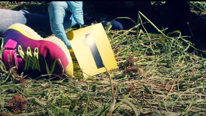 Le meurtre de Marie-Chantale Desjardins résolu par la SQ après 29 ans ...