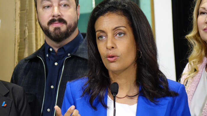 Hydrogène vert : le plan d’Anglade laisse des experts dubitatifs ...