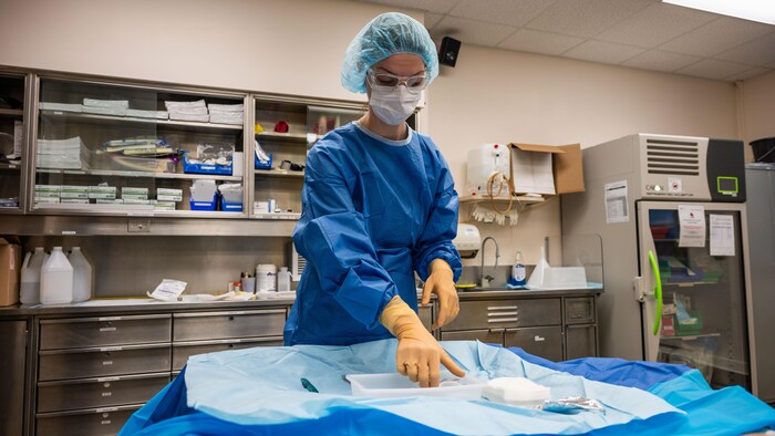 Croissance fulgurante de 150 % des dons de tissus humains en Estrie ...