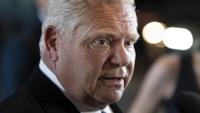 Élections en Ontario : qui sont les chefs? | Radio-Canada