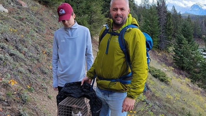 Un chat vedette d’Instagram survit près de deux mois dans le parc ...