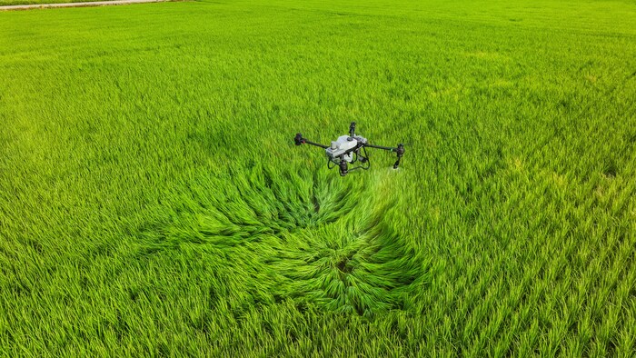 Les drones, les nouveaux travailleurs agricoles? | Radio-Canada