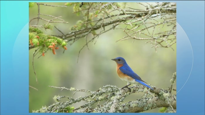Deux jeunes photographes se distinguent dans une exposition à ...