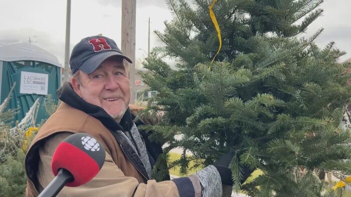À la recherche du sapin parfait, une histoire de tradition | Radio-Canada