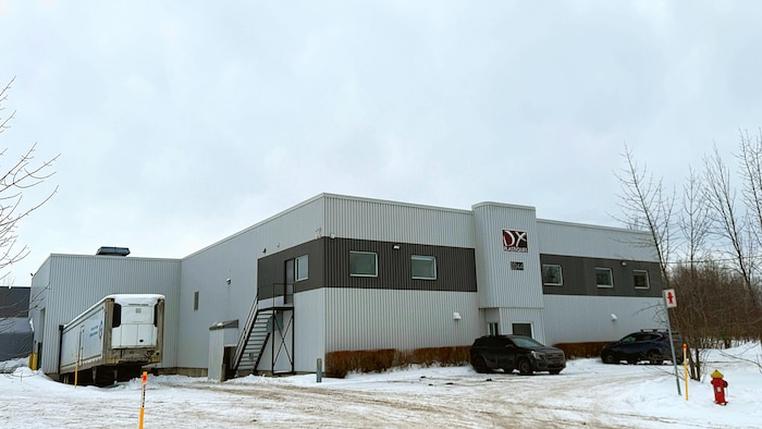 Repreneuriat : deux jeunes lèvent la main à Lévis | Radio-Canada