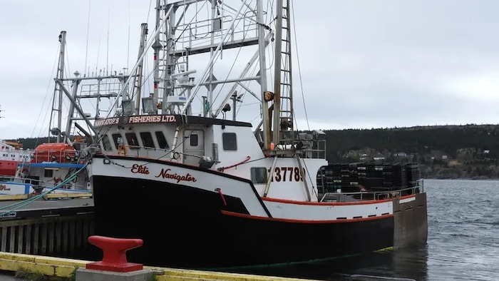 Les pêcheurs rescapés accueillis en grand à Terre-Neuve-et-Labrador ...