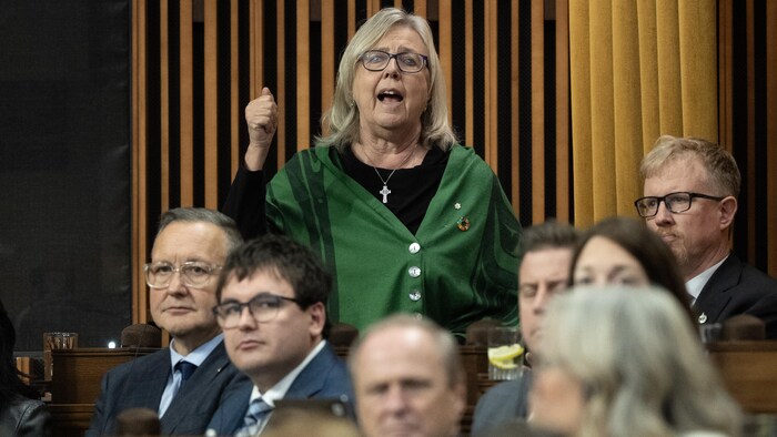 Vote sur le budget Carney : Elizabeth May ne regrette rien | Radio-Canada