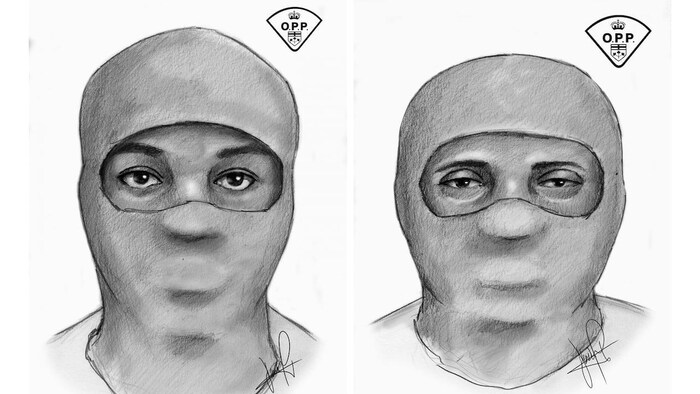 Début du premier procès du Québécois Mohamad Lilo pour voie de fait ...