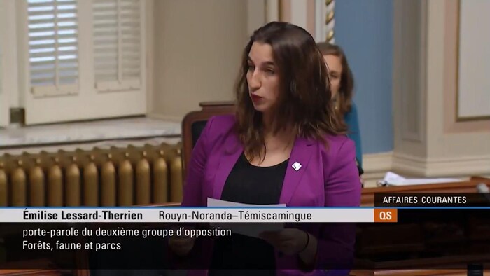 « La forêt du Québec doit répondre aux besoins des Québécois », dit ...