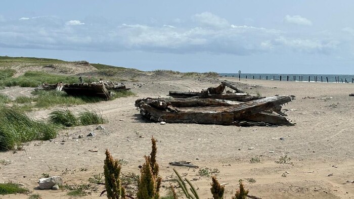 Les résidents de Cape Ray espèrent découvrir l’origine d’une ...
